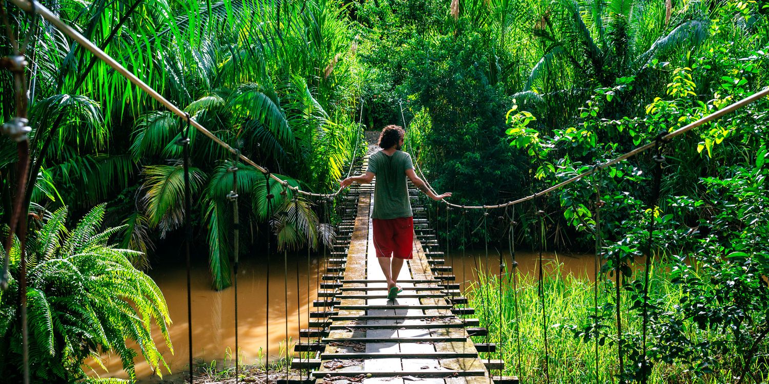 Five green travel resolutions you can actually stick to - Which? News