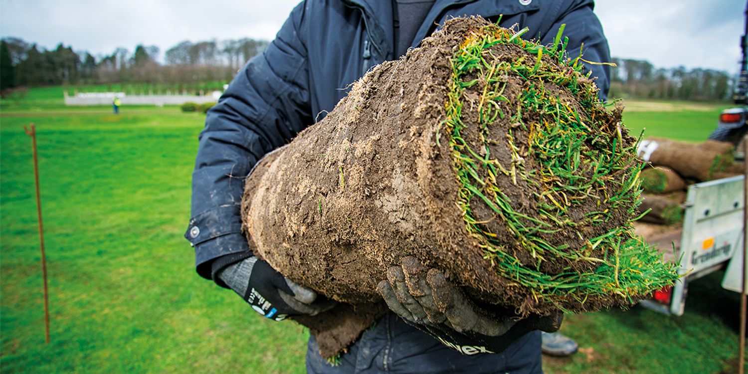 How to lay turf and make a lawn - Which?