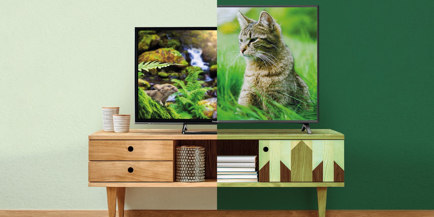 Why small TVs aren't good enough any more - Which?