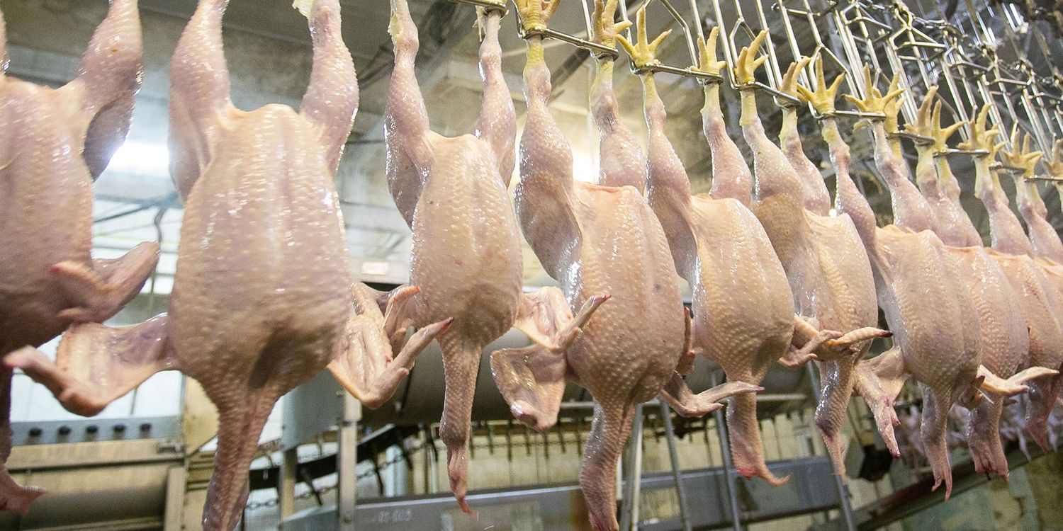USA sets out wish list for post-Brexit food trade deal - Which?