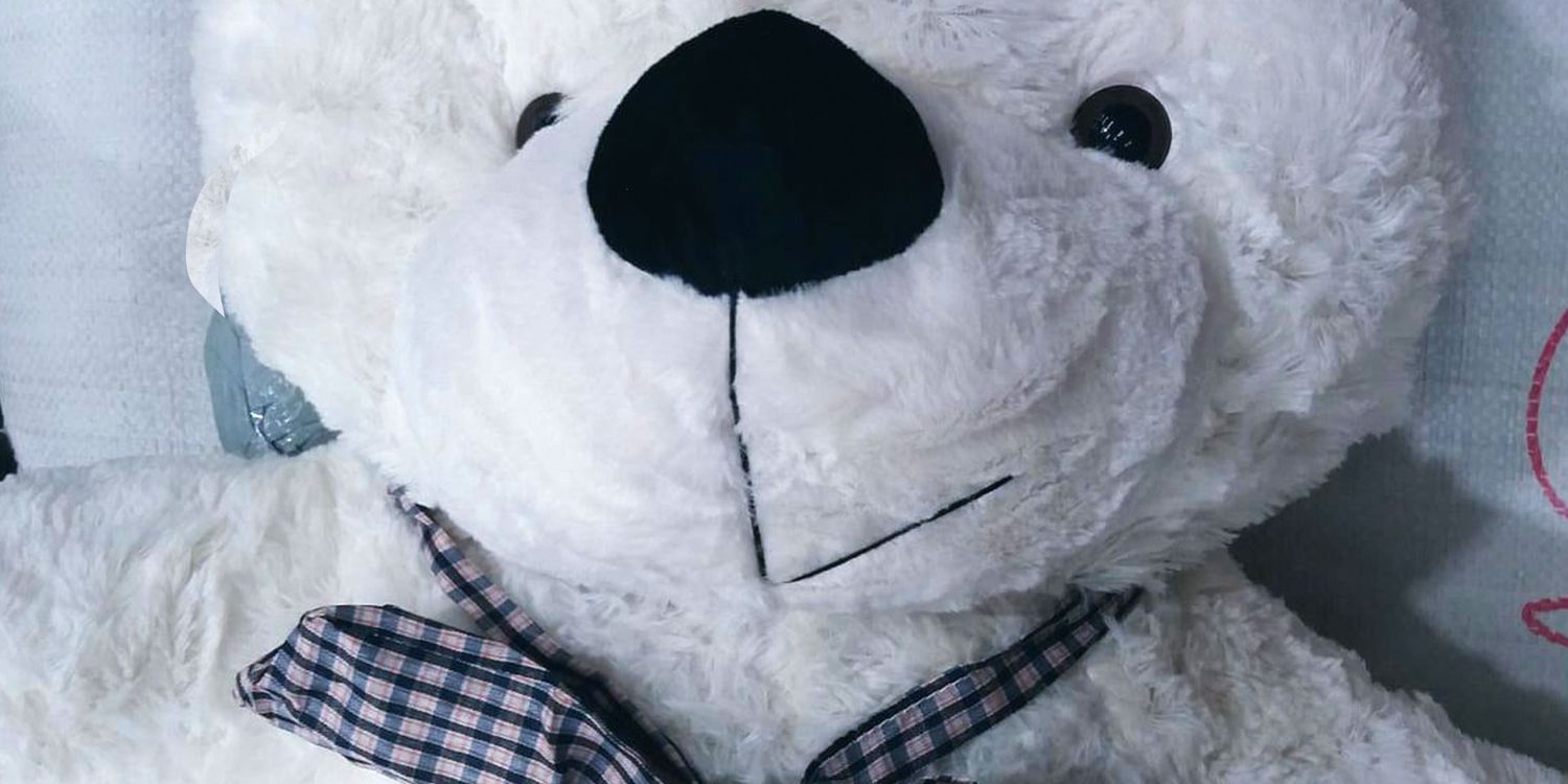 Why Are Teddy Bears Dangerous at Orville Turner blog