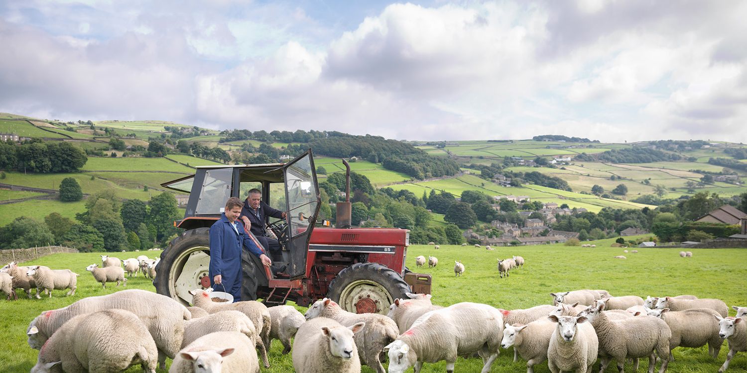 Brexit trade deals: how UK food standards compare to the world - Which?