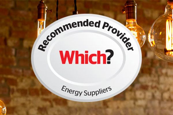 Energy Companies: Which? Recommended Providers - Which?