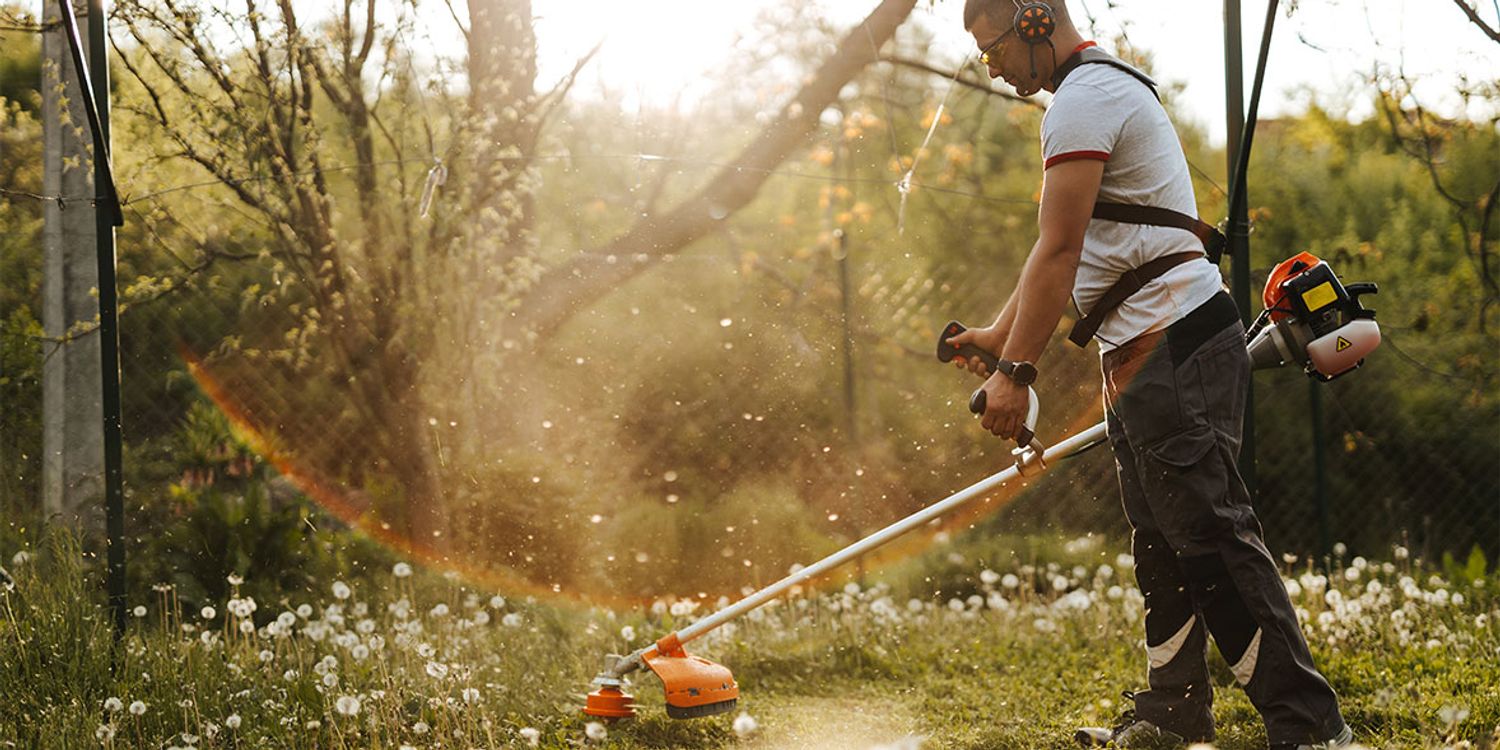 5 grass trimmers and strimmers that Which? experts rate - Which? News