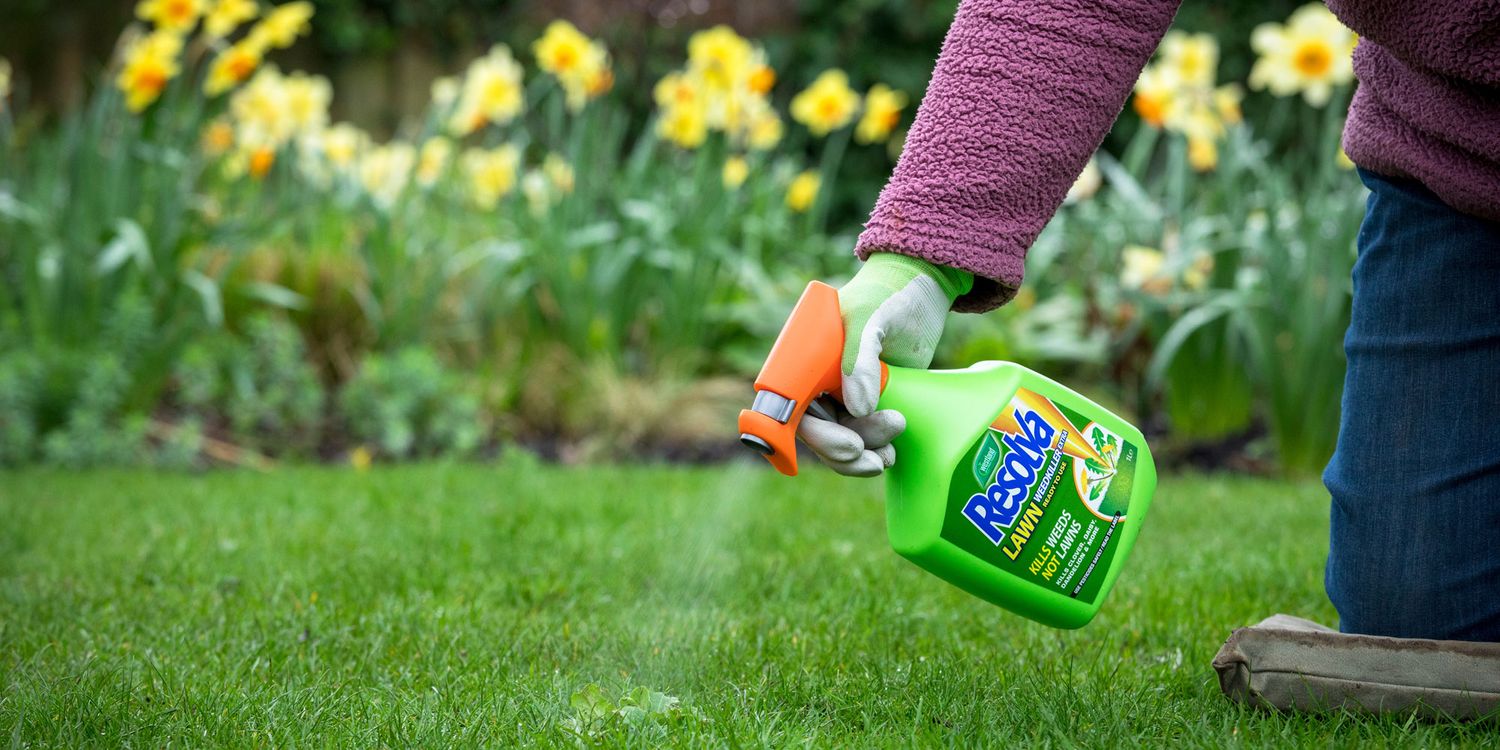 Best lawn treatments: lawn feeds, weed and moss killers - Which?
