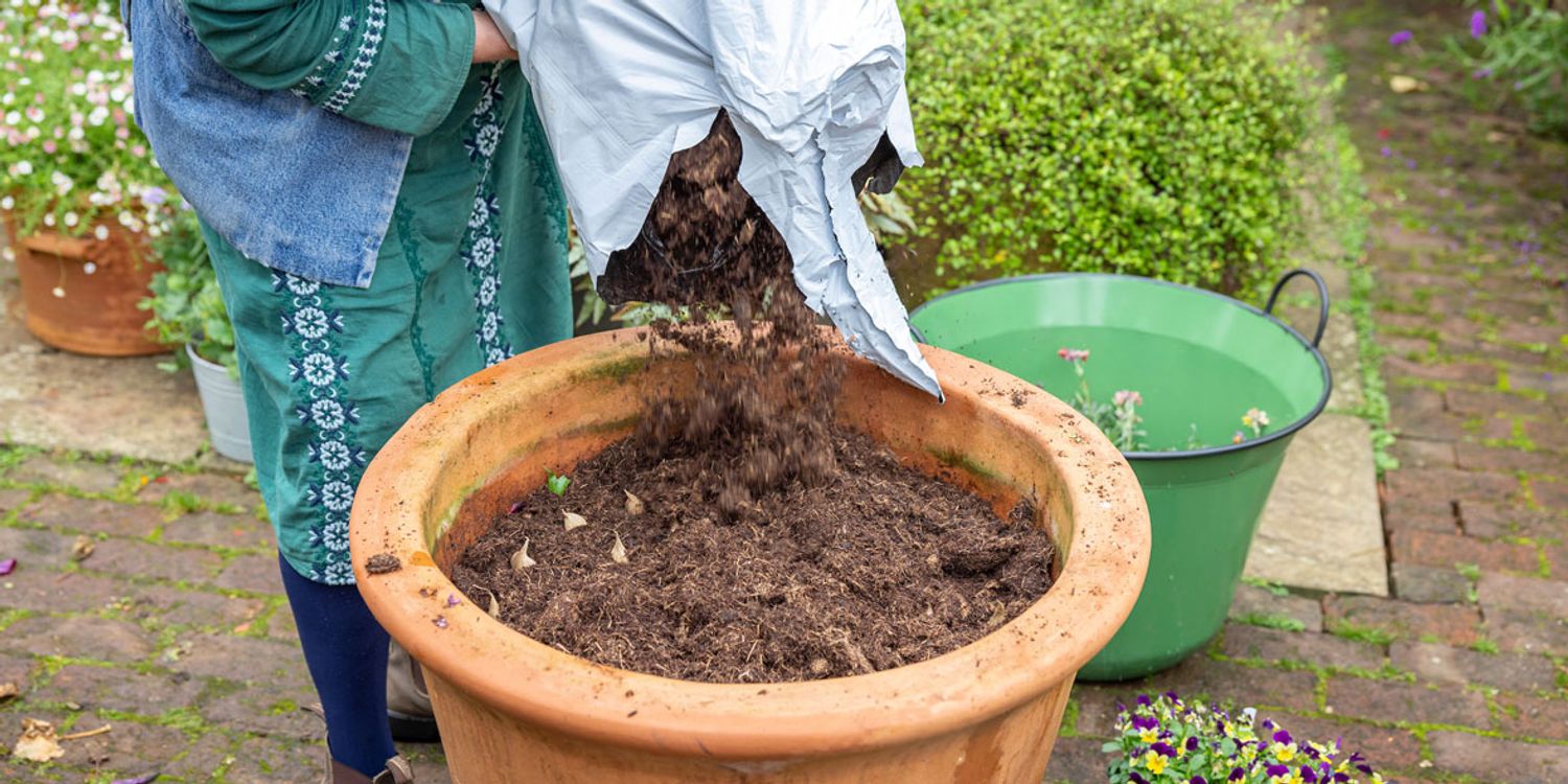 Buying Compost For Garden Home Composting Basics Institute For Local