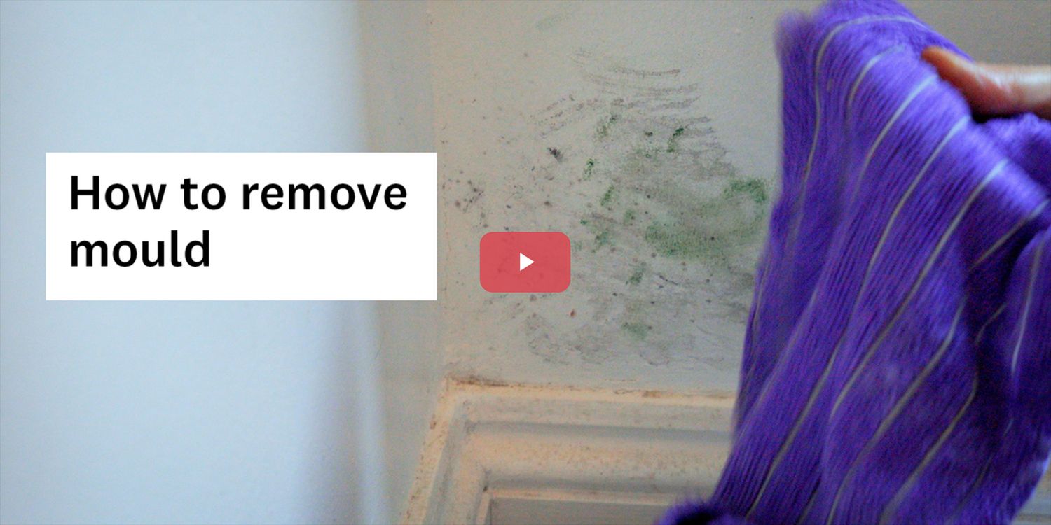 Video guide: how to remove mould at home - mould cleaning tips - Which ...