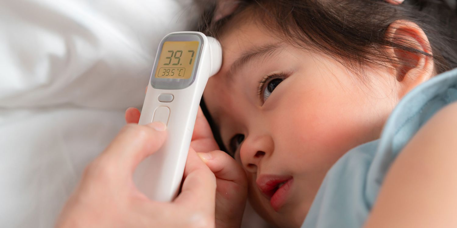 Best digital thermometers: Which? Best Buys and expert buying advice ...