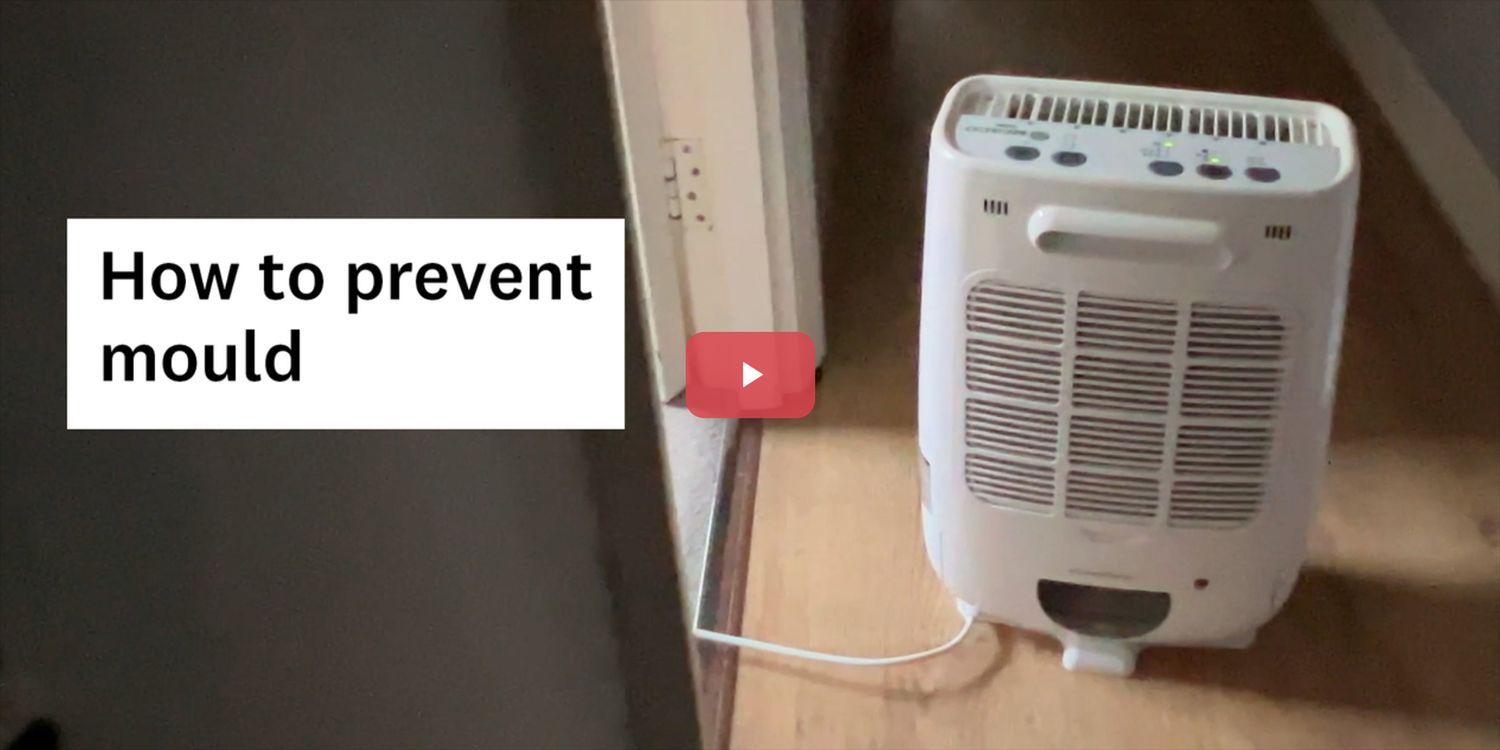 Video guide: how to prevent mould (10 simple tips) - Which? - Which?