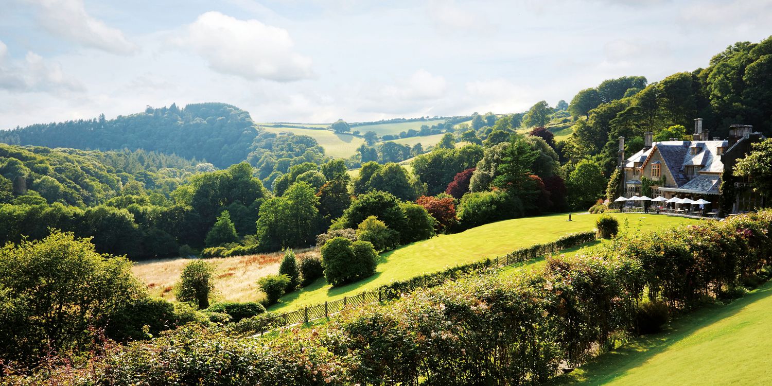 Best dog-friendly hotels in the UK - Which?