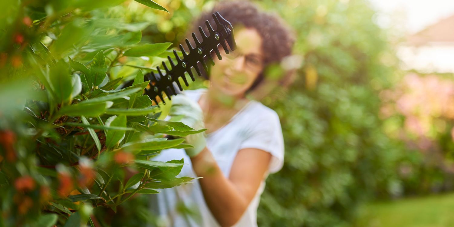 Best hedge trimmers: cordless and corded options reviewed - Which?