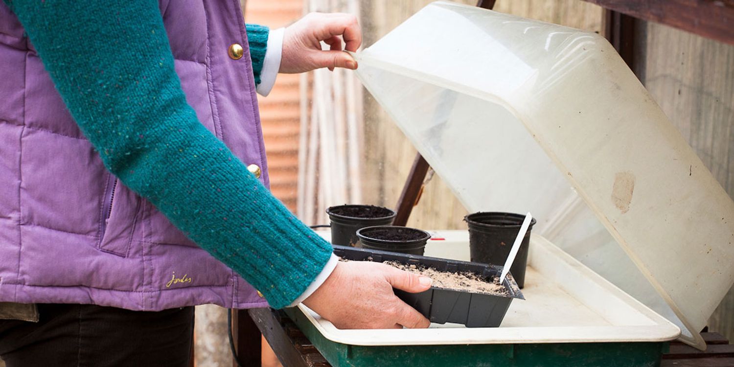 Best heated propagators - Which?