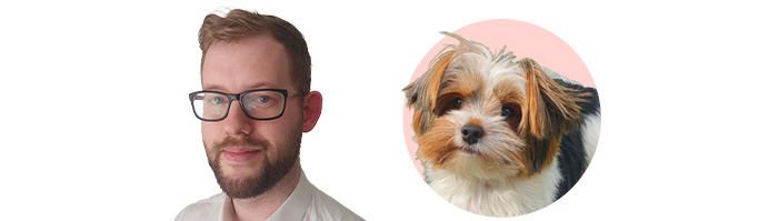 Best Christmas gifts for dogs – affordable toys, harnesses, treats and ...