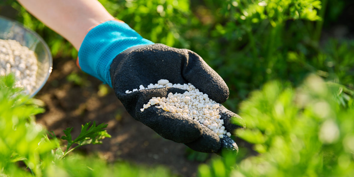 Best Controlled-Release Fertilisers - Which?