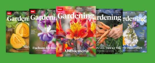 Plant identification apps - Which?