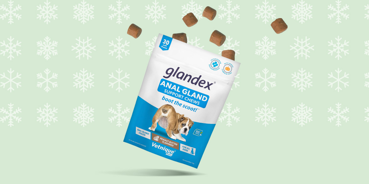 Best Christmas gifts for dogs – affordable toys, harnesses, treats and ...