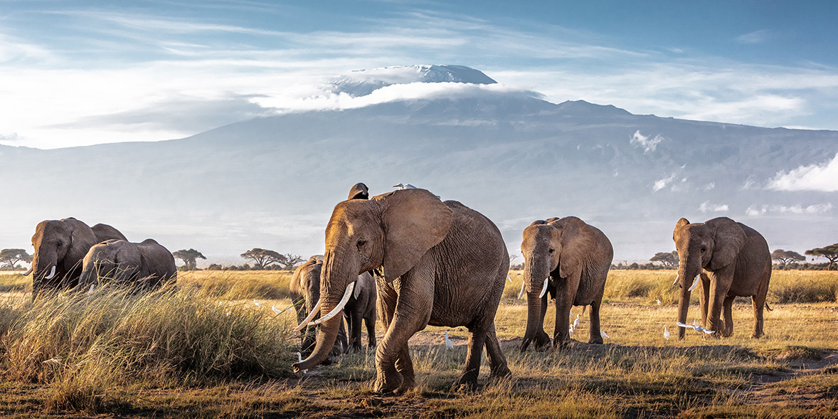 Where to go in August for sunshine and nature escapes - Which? News
