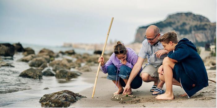 6 things to know before taking advantage of Free Wills Month - Which? News