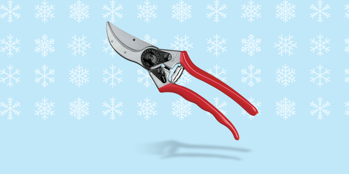 12 best gardening gift ideas for every green thumb - Which? News