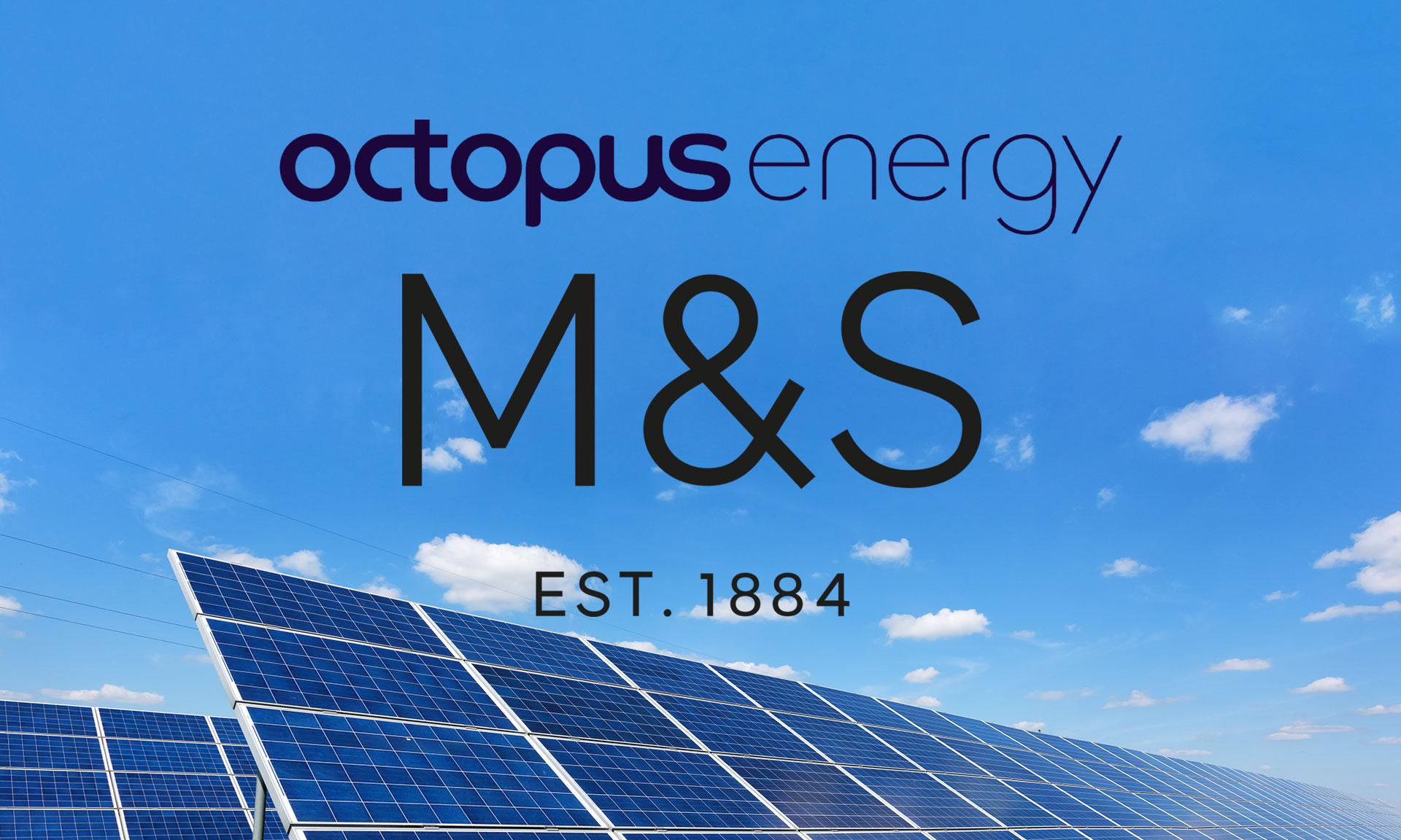 Octopus Energy And M S Energy Announce Partnership Which News Octopus Energy And M S Energy Announce Partnership Which News