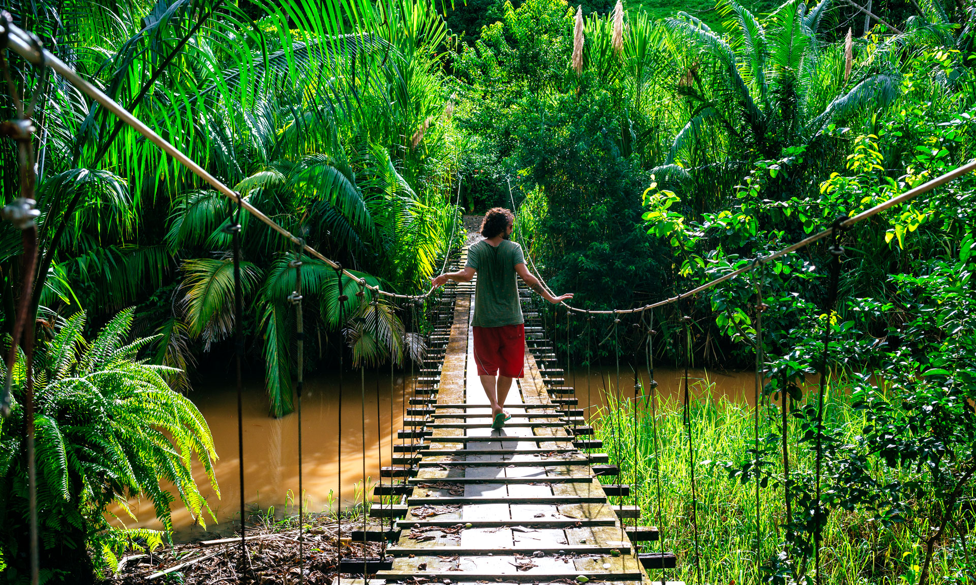 Five green travel resolutions you can actually stick to - Which? News