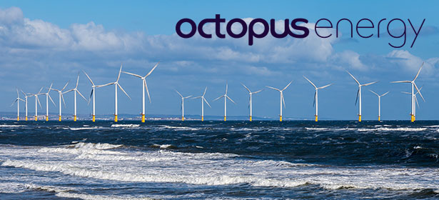 Octopus Energy Review - Which?