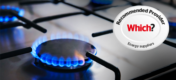 Energy Companies: Which? Recommended Providers - Which?