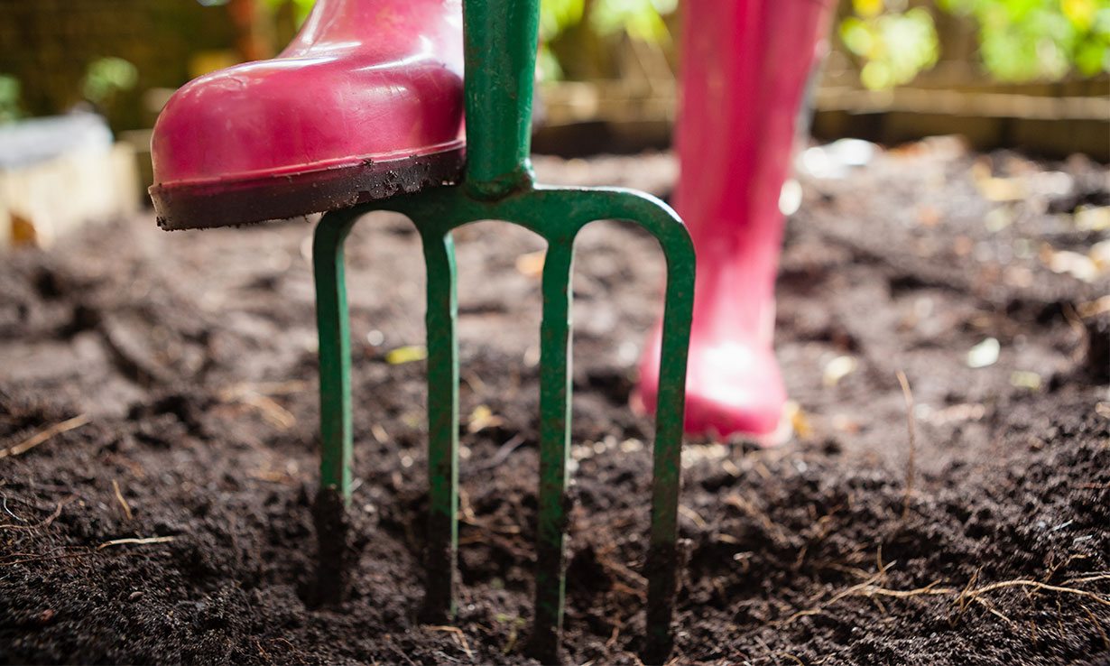 The best Christmas gifts for gardeners - Which? News