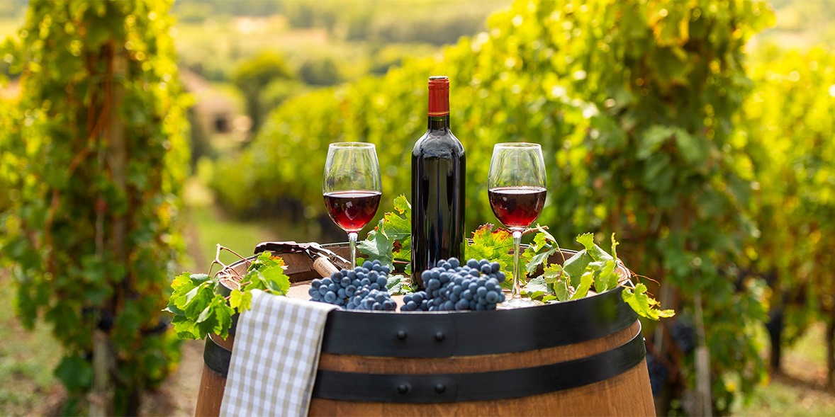 Best Red Wines For Summer 2022 - Which?
