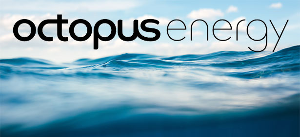 Octopus Energy Review - Which?